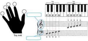 Ký Hiệu Các Nốt Nhạc Piano: Hướng Dẫn Chi Tiết