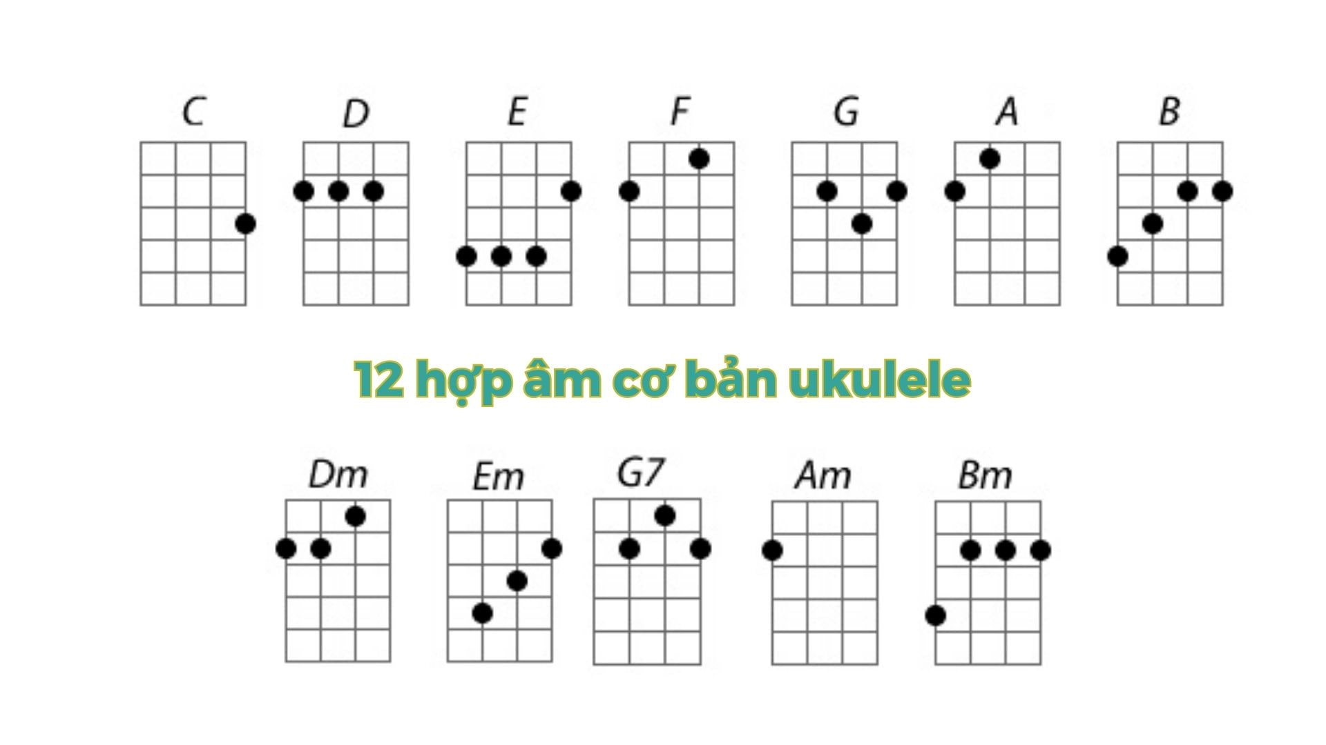 Hợp Âm Ukulele - Bí Quyết Chinh Phục